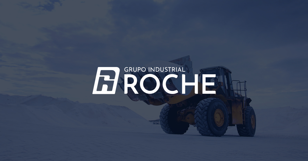 Grupo roche